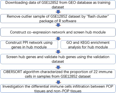 Workflow Diagram Data Collection Analysis And Validation Full Size Download Scientific