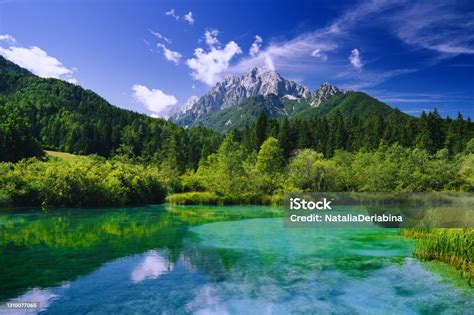 녹색 자연 풍경 젤렌치 자연 보호 구역과 슬로베니아 유럽의 알프스 산맥에 놀라운 전망 여름철에 에메랄드 호수가 있는 아름다운 알프스 계곡 0명에 대한 스톡 사진 및 기타