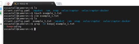 Búsqueda de cadenas en Linux KeepCoding Bootcamps