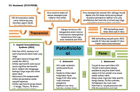 Patofisiologi Hiv Aids Siti Musalamah J210190238 Hiv Ditransmisikan Melalui Cairan