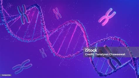 Dna Spiral Structure Dna Helix Complementary Strand Of Sequences Genetic Code Or Genome Gene