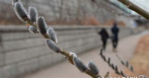 포토 봄이 오는 풍경