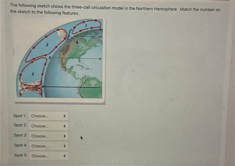 solved the following sketch shows the three cell circulation