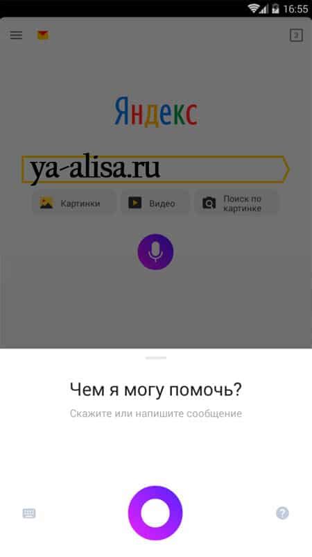 Алиса Включи Поиск По Фото Telegraph
