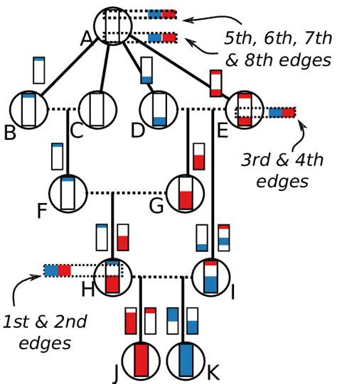 a depiction of each state of the simplification algorithm as it moves