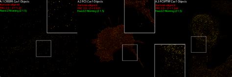 Illustration Of Self Tuning Object Detection On The 3 Different Cell Download Scientific