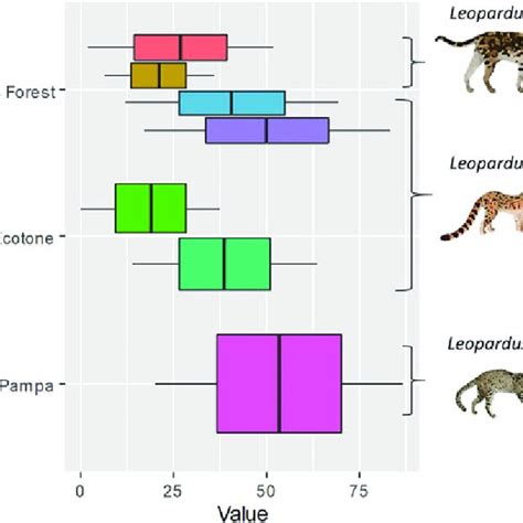 5 Population Density Variations Of Ocelots Leopardus Pardalis Margay