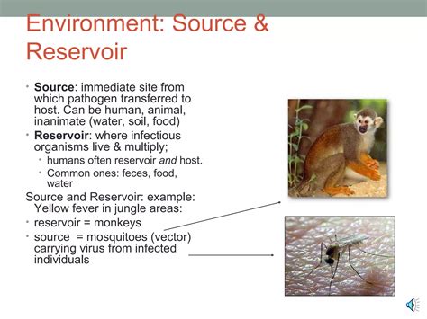 Host Pathogen Interactions Ppt