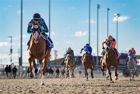 I Hope It Rains On Derby Day Rivelli Plans To Train Two Phils At Hawthorne Before Shipping