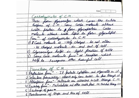 Functions Of Cell Membrabe Pdf