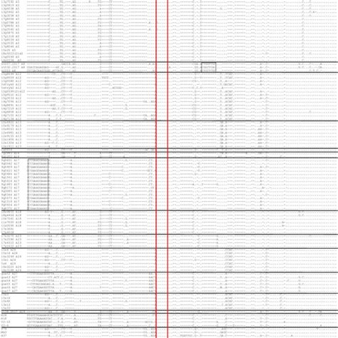 alignment of u3 r sequences of the long terminal repeat region from