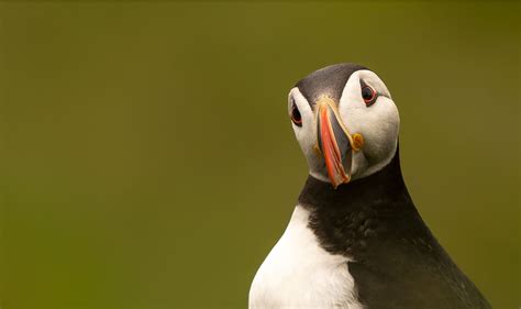 Noise Reduction In Photography In Field And Post Processing Capturelandscapes Noise Reduction In Photography In Field And Post Processing Capturelandscapes