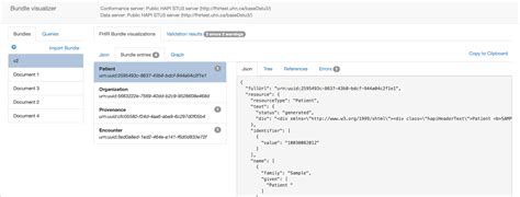 Fhir Bundle Visualizer Hay On Fhir Fhir Bundle Visualizer Hay On Fhir