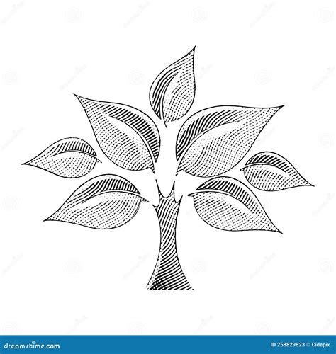 Scratchboard Engraved Tree Stock Vector Illustration Of Nature 258829823