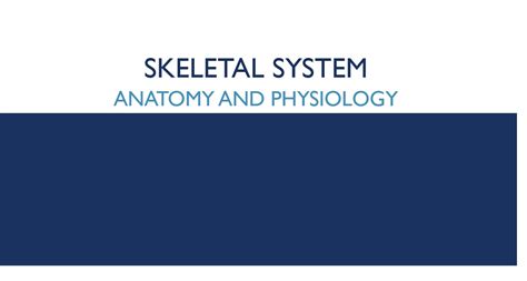 Anatomy And Physiology Skeletal System POWER POINT Made By Teachers