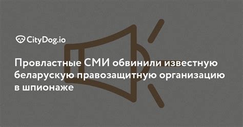 Провластные СМИ обвинили известную беларускую правозащитную организацию в шпионаже