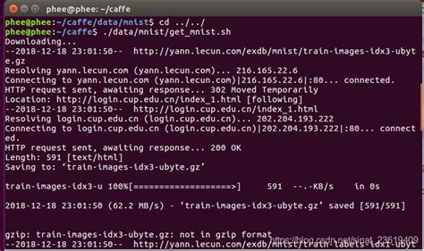 Caffe获取mnist数据集出错：gzip Train Images Idx3 Ubytegz Not In Gzip Format