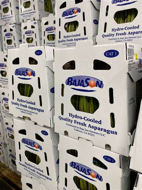 Stackable Fluted Pp Corrugated Box Polypropylene Pp Flute Box