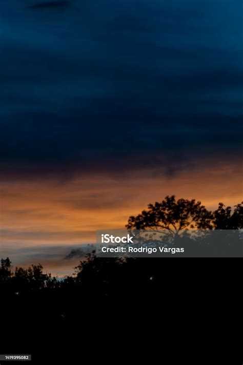 빨간색과 파란색의 극적인 하늘이있는 일몰 빛에 대한 실루엣 나무의 그림자 배경 다채로운 멕시코 0명에 대한 스톡 사진 및 기타