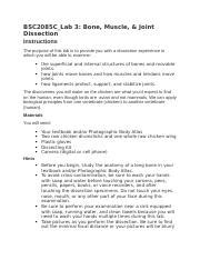 BSC C Lab Bone Muscle Joint Dissection Course Hero