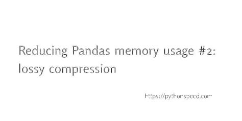 Reducing Pandas Memory Usage With Lossy Compression Rpython