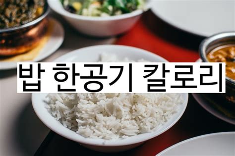 밥 한 공기 칼로리 정확히 알려드려요 네이버 블로그