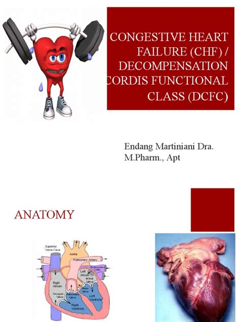 Congestive Heart Failure Chf Decompensation Cordis Functional Class