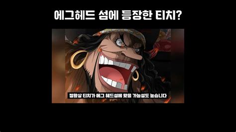 에그헤드 섬에 등장한 티치 Youtube