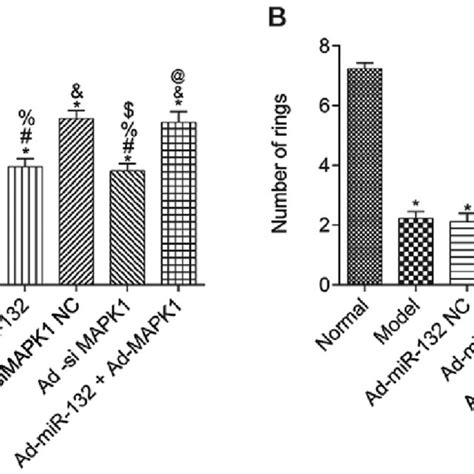 learning and memory ability of rats from different groups n 10 a