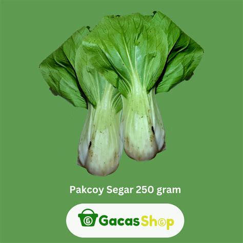Pakcoy Segar 250 Gram Gacasshop