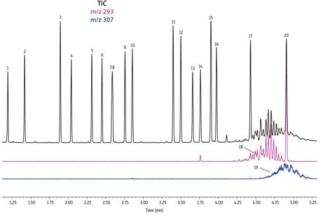 Gc Ms Analysis Of Phthalates Comparison Of Gc Stationary Phase Performance