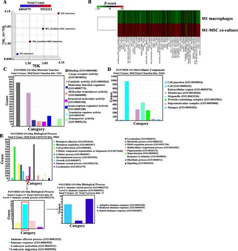 Rna Seq Analyses A Pca Plot Of The Normalized Rna Seq Data Of The