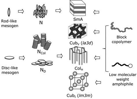 Mesophase Morphologies Formed By The Self Assembly Of Rod Like And Download Scientific Diagram