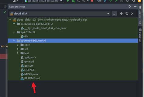 Goland配置在远程linux里运行代码开发,并debug调适 Haimablog 博客园 Goland配置在远程linux里运行代码开发,并debug调适 Haimablog 博客园