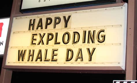 Happy Exploding Whale Day Album On Imgur