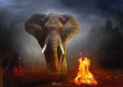 Elephan 20 By Minsb On Deviantart