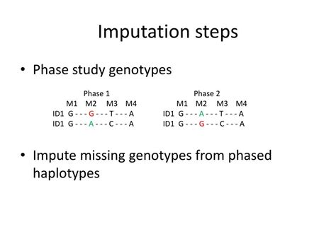 Ppt Genotype Imputation Powerpoint Presentation Free Download Id5650882