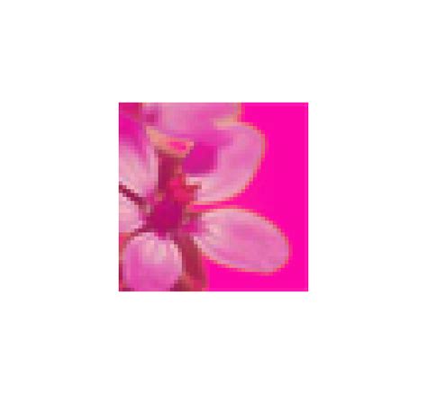 Old Windows Icons Windows Xp User Pictures Pink Flower