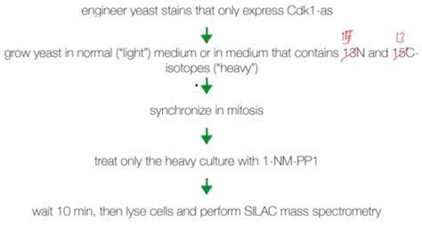 MCB 130 Midterm 1 Flashcards Quizlet MCB 130 Midterm 1 Flashcards Quizlet