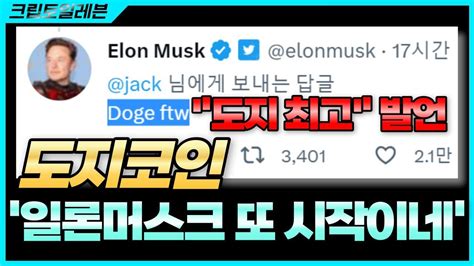 급등주의 도지코인 일론머스크 또 시작 됐습니다 메탈리플스택스웨이브카바 Youtube