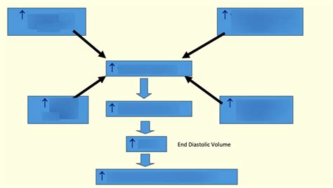 Diagram Of Factors Influencing Venous Return Quizlet