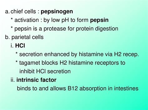 Oral Biology Departement Ppt Download
