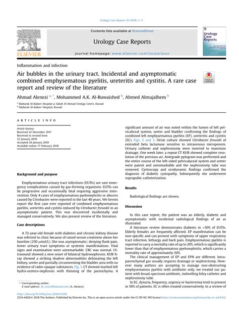 Pdf Air Bubbles In The Urinary Tract Incidental And Asymptomatic