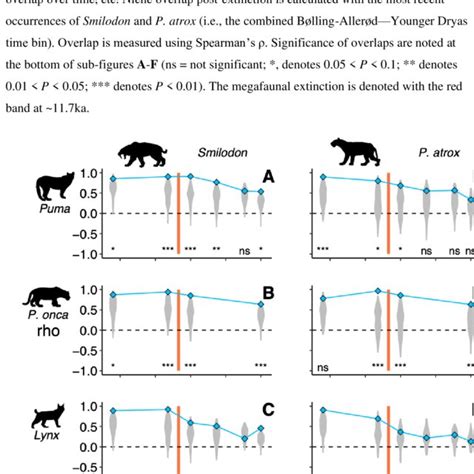 Meso Felid Mega Felid Niche Overlap Over Time Observed Niche Overlap Download Scientific Diagram