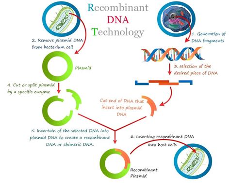 Tips In Molecular Biology Recombinant Dna Technology Is A Segment Of