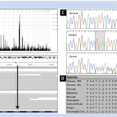 Genome Wide Genotyping And Sequencing Results A Genome Wide Download Scientific Diagram