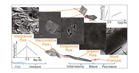 Pore Characterization And Its Controlling Factors In The Wufeng