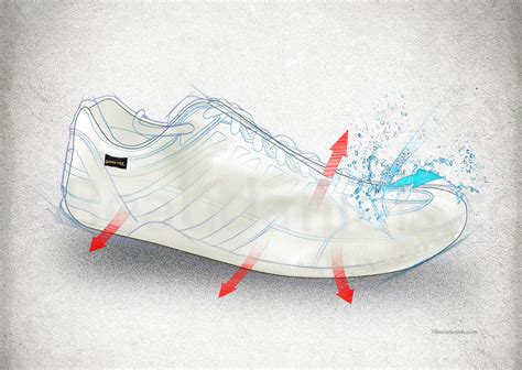 Technical Illustration Beau And Alan Daniels Gortex Shoe Liner