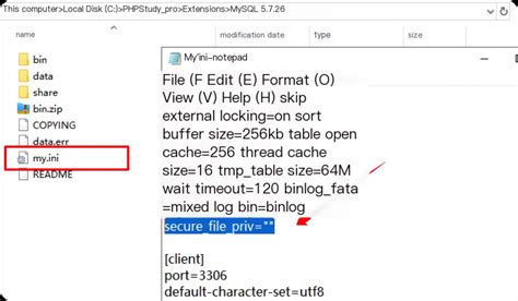 Optimizing Sql Time Based Blind Injection With Dns Log Injection Techniques Ax3soft