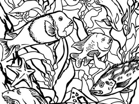 Black And White Coloring Pages At Free Printable